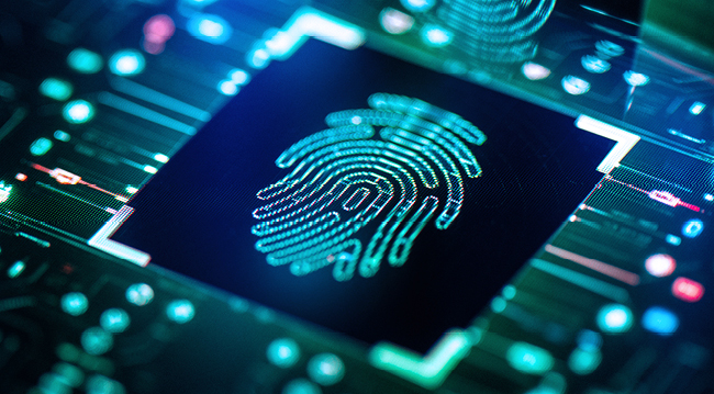 A cyber security handbook for small business and NFP directors