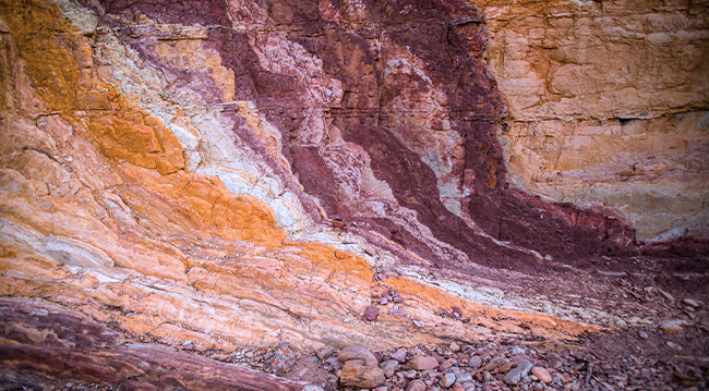 Workplace RAP Barometer 2024